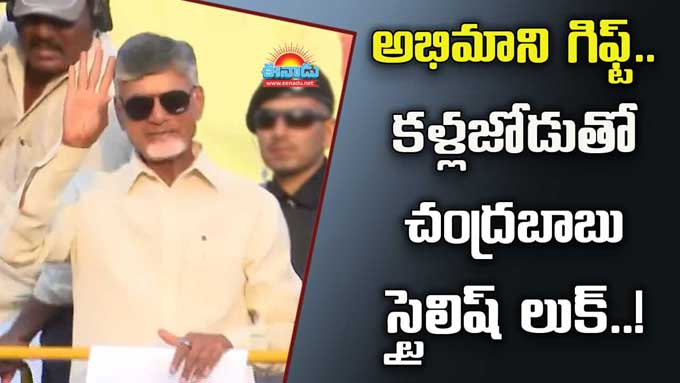Chandrababu: అభిమాని కళ్లజోడు గిఫ్ట్‌.. స్టైలిష్‌ లుక్‌లో చంద్రబాబు ...