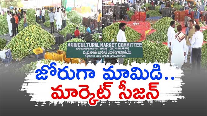 Hyderabad: బాటసింగారం మార్కెట్‌కు మామిడి కళ.. జోరుగా విక్రయాలు | huge ...